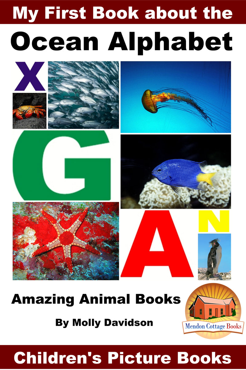 My First Book about the Ocean Alphabet - Amazing Animal Books – Mendon ...