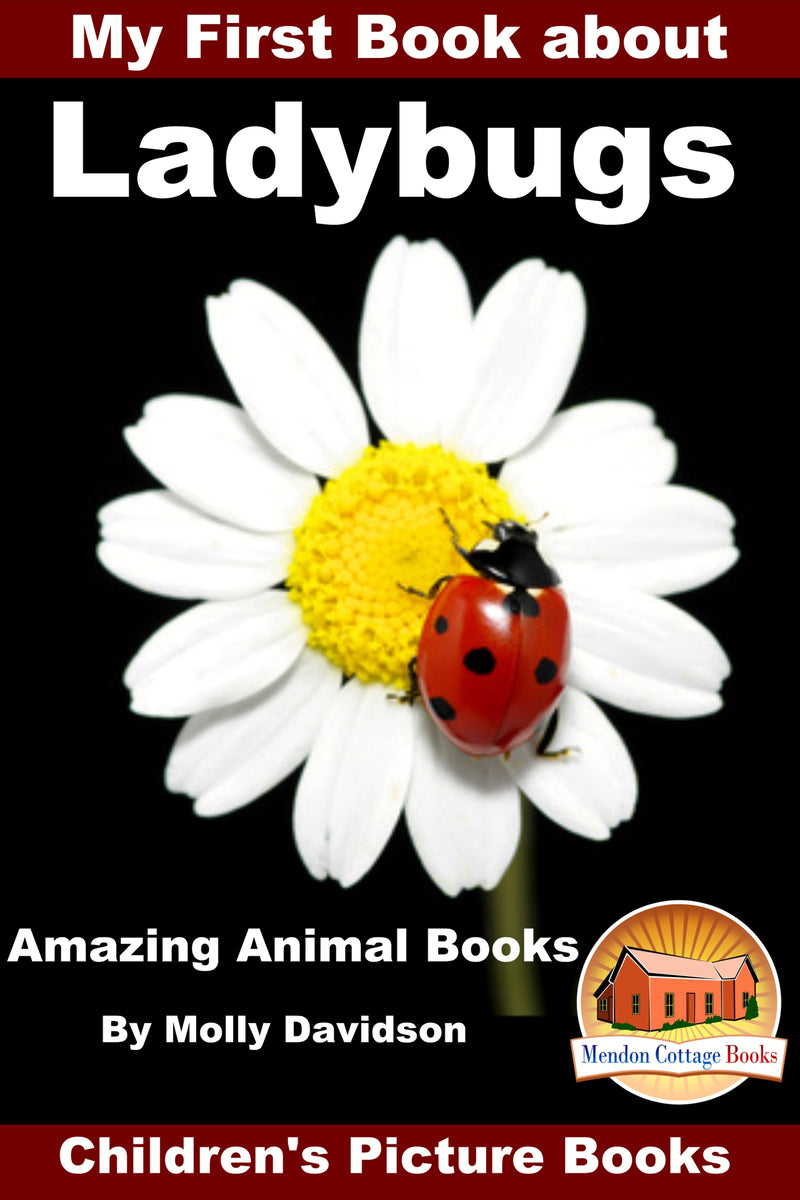 My First Book about Ladybugs - Amazing Animal Books – Mendon Cottage Books